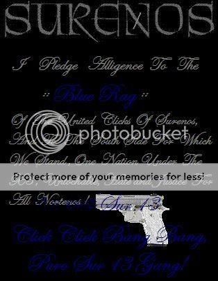 Surenos Image - Surenos Graphic Code