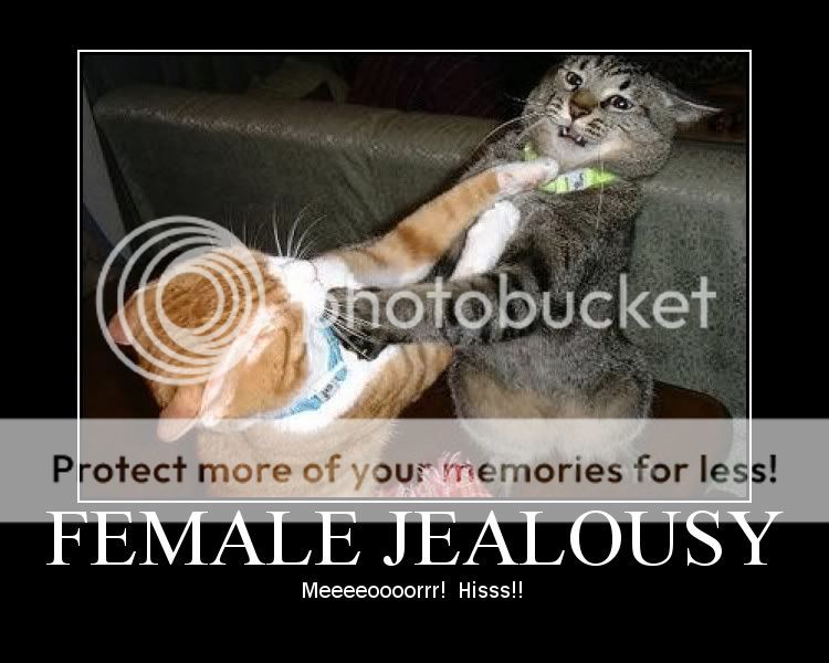 Superman Sarah Palin > General Discussion > AR15.COM