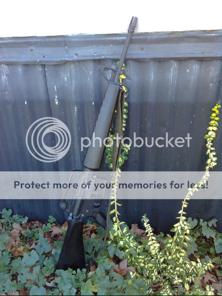 604 Clone | Gunboards Forums