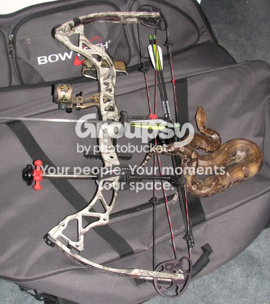 Quick opinion of the bowtech heartbreaker | Archery Talk Forum