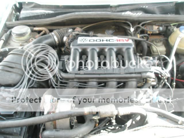 FS:'90 Jetta GLI Calypso Green in Colorado 2700 obo! | VW Vortex ...