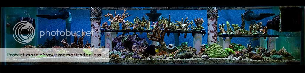 Frag Tanks... small, medium, large... let's see 'em.. | Reef2Reef