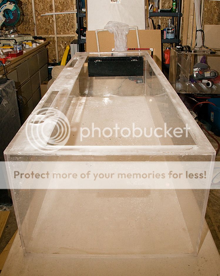 DIY Acrylic Tank Pics | Reef2Reef