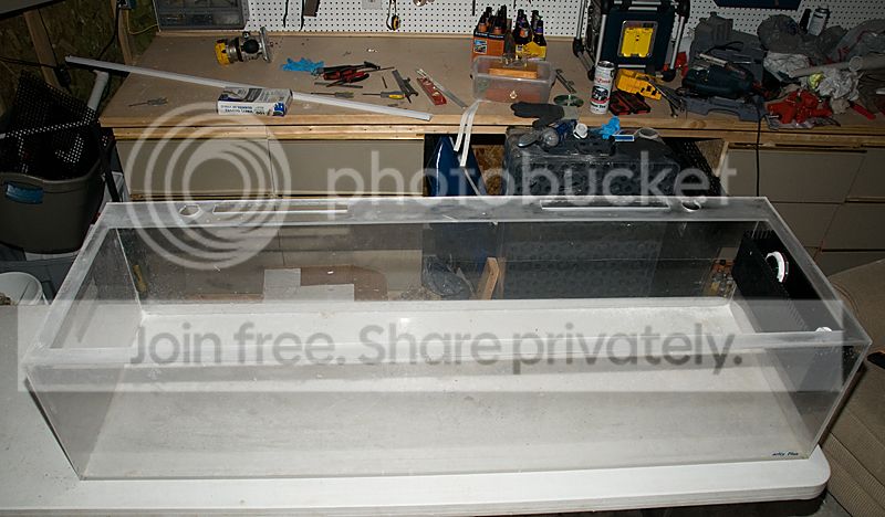 DIY Acrylic Tank Pics | Reef2Reef