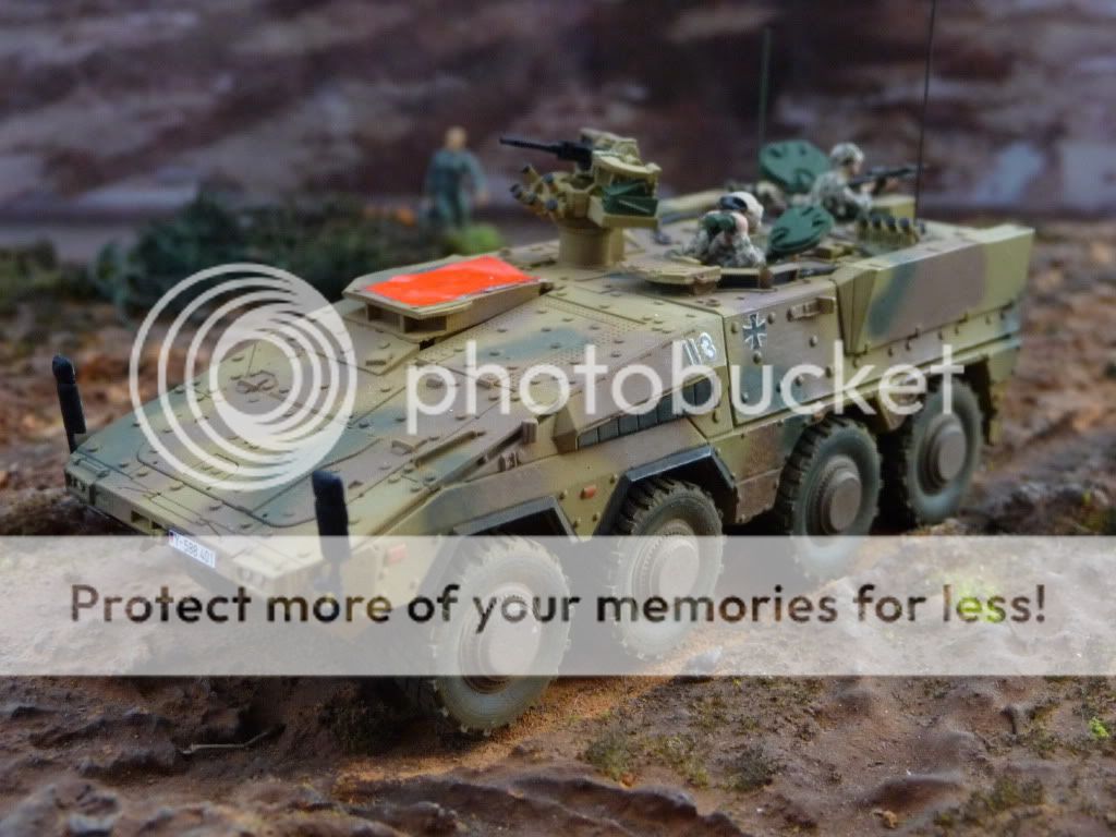 Er ist da!!! Der Boxer von Y-Modelle - Scale Model Team