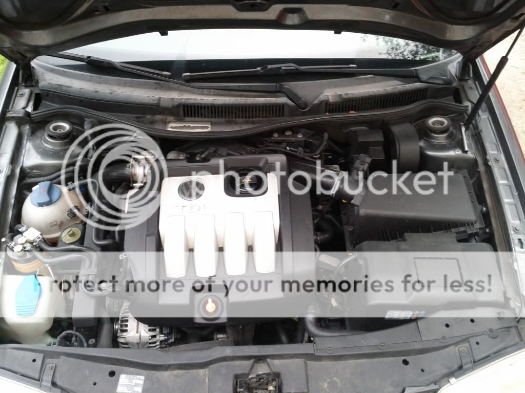 2004 Jetta TDI GLS - Columbia SC | TDIClub Forums